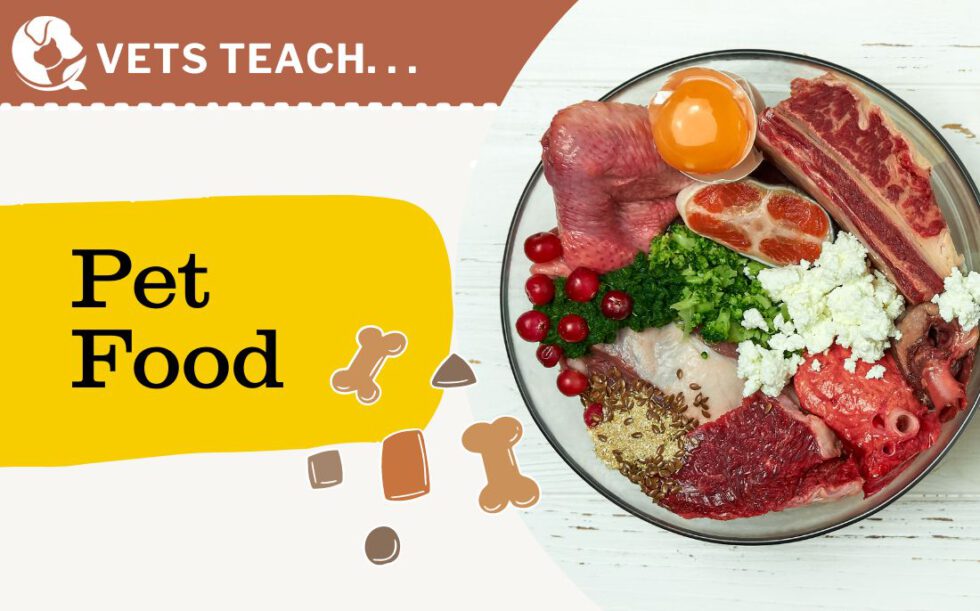What Should I Feed My Pets? The Pet Food Dilemma - Holistic Actions!