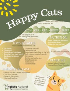Kitten Care - Holistic Actions!