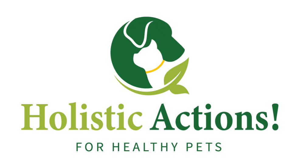 02/03/2025 Empower Hour! 7 Pillars of Longevity - Holistic Actions! 02/03/2025 Empower Hour! 7 Pillars of Longevity - Holistic Actions!