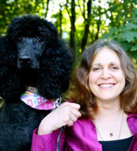 Help Your Pets Have Healthy Bellies - Tackle IBD Holisticallly