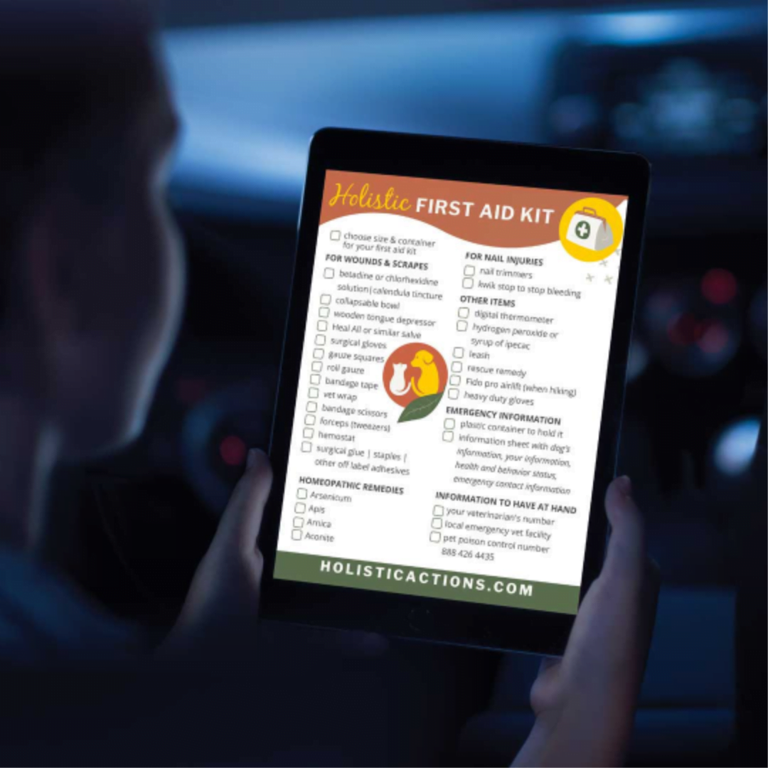 Holistic First Aid Kit Checklist - Holistic Actions!