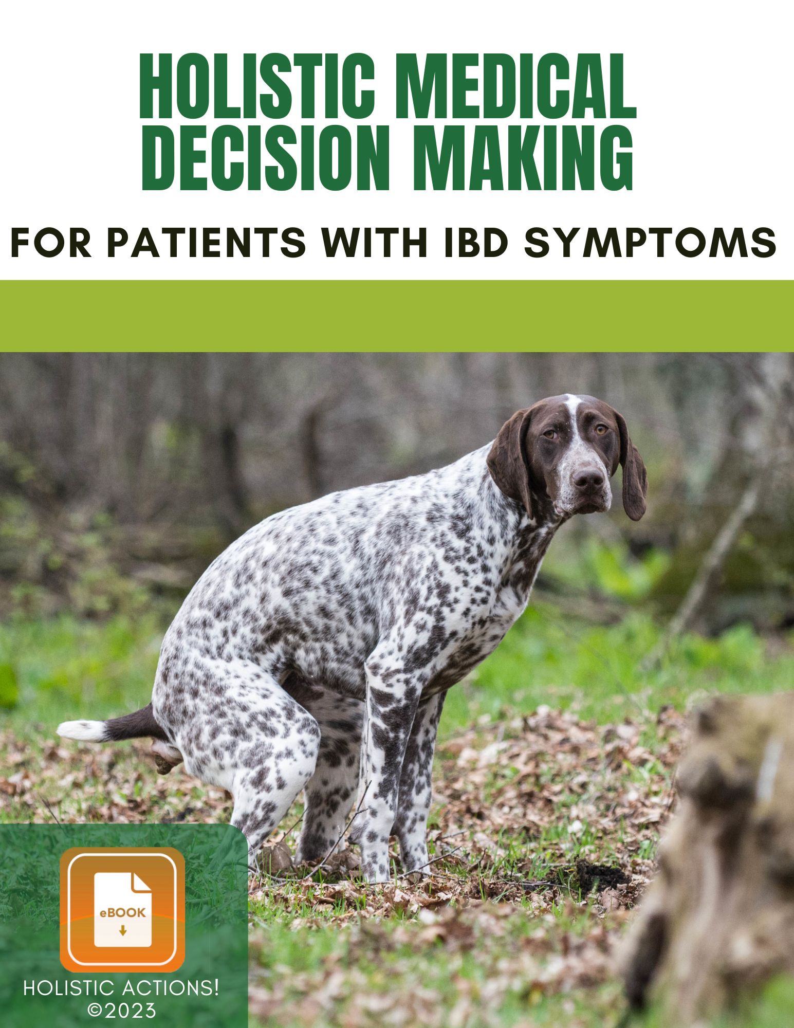 IBD Dashboard - Holistic Actions!