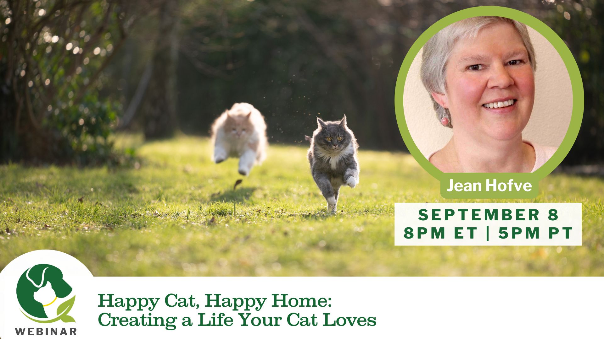 09/08/25 Empower Hour! Creating a Life Your Cat Loves - Holistic Actions!